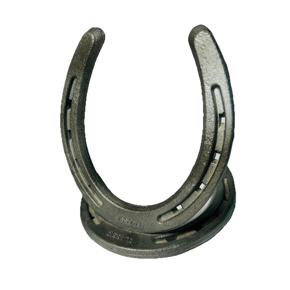 Diamond Supply Co. | Accents | Vintage Classic Diamond Metal Horseshoe ...